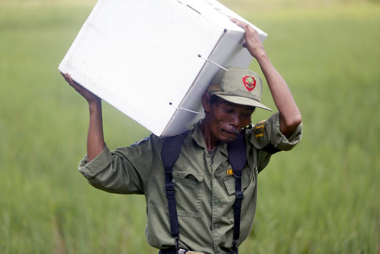 District Employee Carries Ballot Box Through Editorial Stock Photo ...