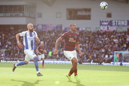 Bruno Saltor Brighton Hove Albion Salomon Editorial Stock Photo - Stock ...