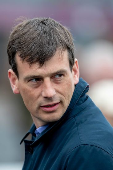 Trainer Fozzy Stack Editorial Stock Photo - Stock Image | Shutterstock