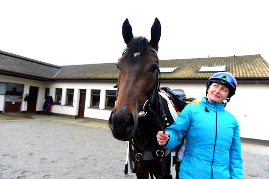 Currabeg Stables Curragh John Oxx Trained Editorial Stock Photo - Stock ...