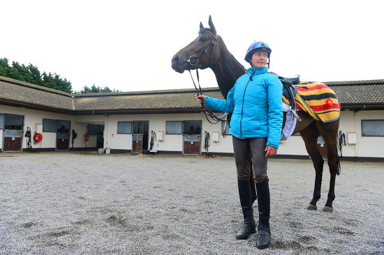 Currabeg Stables Curragh John Oxx Trained Editorial Stock Photo - Stock ...