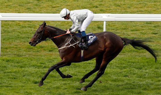 Dee Ex Bee William Buick Wins Editorial Stock Photo - Stock Image ...