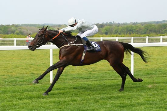 Dee Ex Bee Ridden By William Editorial Stock Photo - Stock Image ...