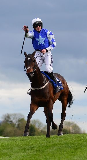 Punchestown Coral Punchestown Gold Cup Kemboy Editorial Stock Photo ...