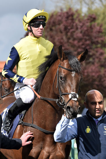 Newmarket Gb Sporting Chance Patrick Cosgrave Editorial Stock Photo ...