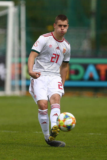 David Laszlo Hungary Editorial Stock Photo - Stock Image | Shutterstock