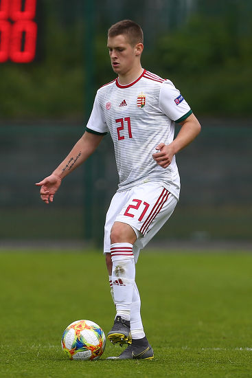 David Laszlo Hungary Editorial Stock Photo - Stock Image | Shutterstock