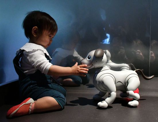 Aibo Sonys Robot Puppy Experiment Real Editorial Stock Photo - Stock ...