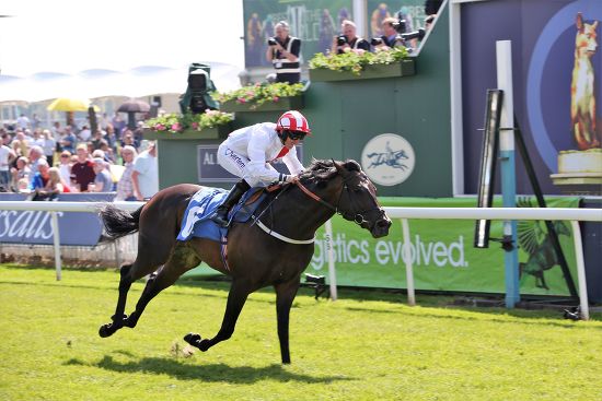 Invincible Army 6 Ridden By P Editorial Stock Photo - Stock Image ...