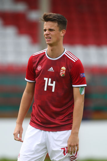 Milan Horvath Hungary Editorial Stock Photo - Stock Image | Shutterstock