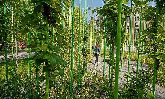 Green Rods Plants Seen National Horticultural Editorial Stock Photo ...