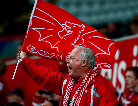 Ospreys Vs Scarlets Scarlets Fan Editorial Stock Photo - Stock Image ...