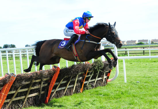 Wexford Charle Brune Donagh Meyler Win Editorial Stock Photo - Stock ...
