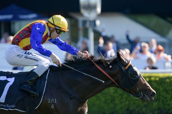 Jockey Adam Hyeroninmus Rides Prince Fawaz Editorial Stock Photo ...