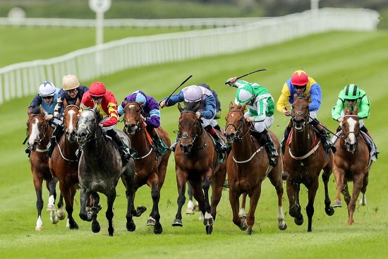 Weatherbys Ireland Greenlands Stakes View Weatherbys Editorial Stock ...