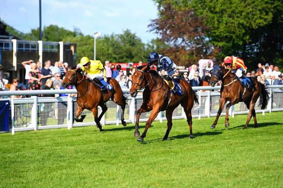 Winner Sharps Doom Bar Handicap Raincall Editorial Stock Photo - Stock ...
