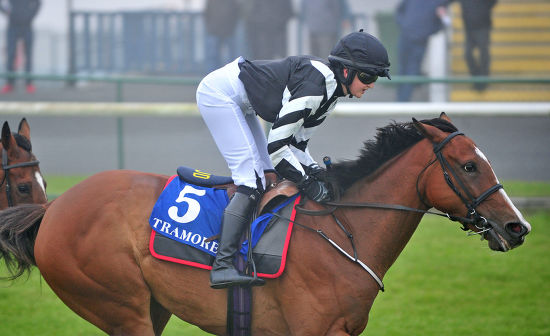 Tramore Rocket Lad Ruth Dudfield Win Editorial Stock Photo - Stock ...