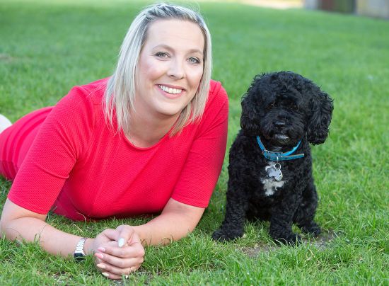 Tribreed Dog Feature Stacey Craven Owns Editorial Stock Photo - Stock ...