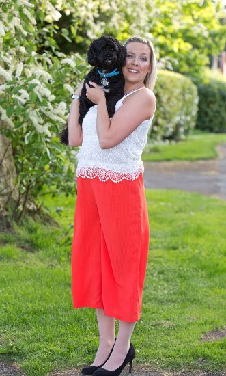 Tribreed Dog Feature Stacey Craven Owns Editorial Stock Photo - Stock ...