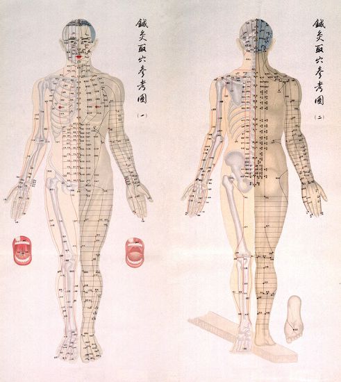 Chinese Chart Acupuncture Points On Male Foto stock editorial - Imagem stock | Shutterstock