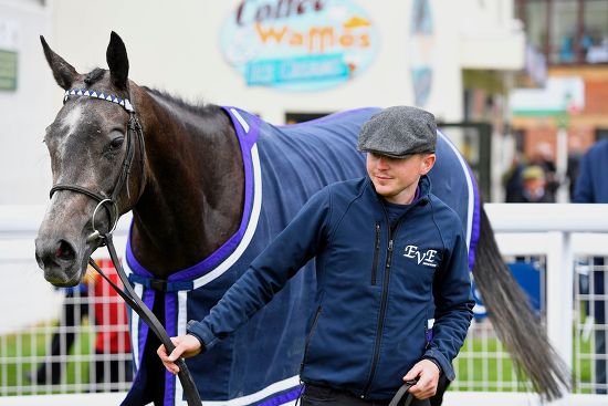 Winner British Stallion Studs Ebf Margadale Editorial Stock Photo ...
