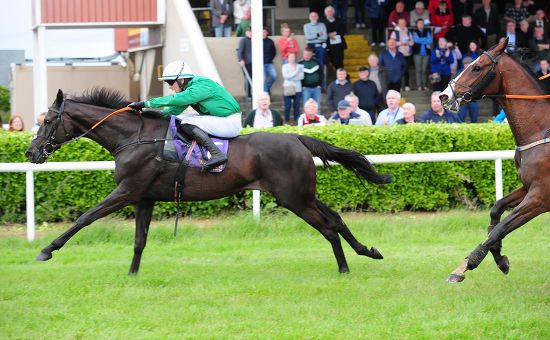 Wexford Smithscorner Conor Orr Win Trainer Editorial Stock Photo ...