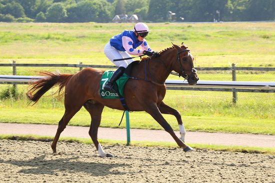 Tijaary Ridden By Miss Antonia Peck Editorial Stock Photo - Stock Image ...