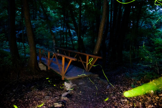Multiple Long Exposure Picture Shows Trails Editorial Stock Photo ...