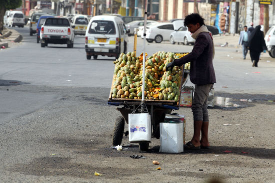 Yemeni Vendor Displays Prickly Pear Fruits Editorial Stock Photo ...