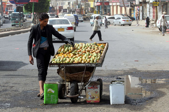 Yemeni Vendor Displays Prickly Pear Fruits Editorial Stock Photo ...