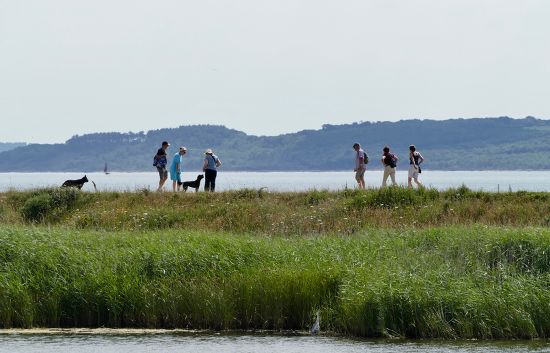 People Enjoy Sunshine Lymington Marshes New Editorial Stock Photo ...