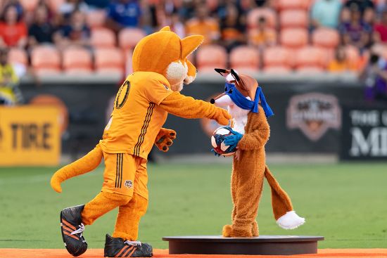 Dynamo Mascot Diesel Chasing Bandit He Editorial Stock Photo - Stock ...