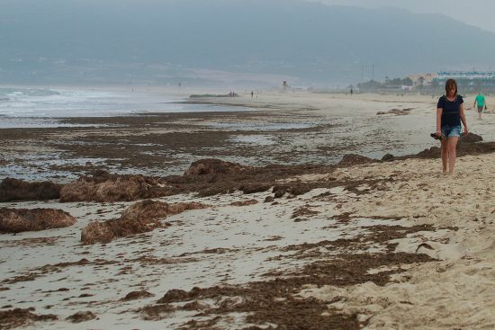 View On Los Lances Beach Covered Editorial Stock Photo - Stock Image ...