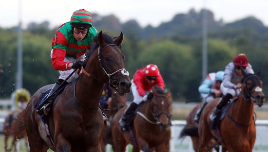Aljari Luke Morris Wins Wolverhampton Holiday Editorial Stock Photo - Stock Image | Shutterstock