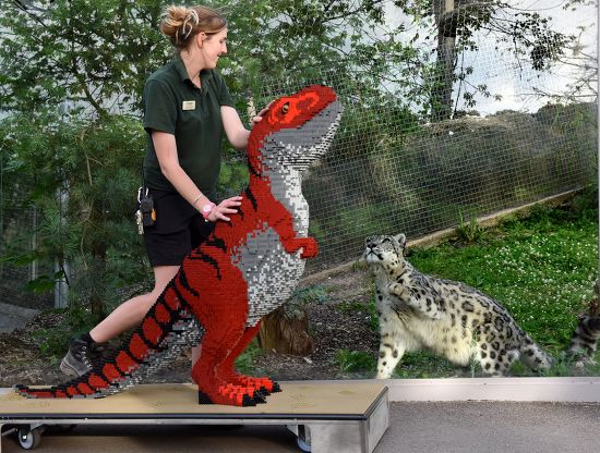 Carrie Arnold Marwell Zoo Member Staff Editorial Stock Photo - Stock ...
