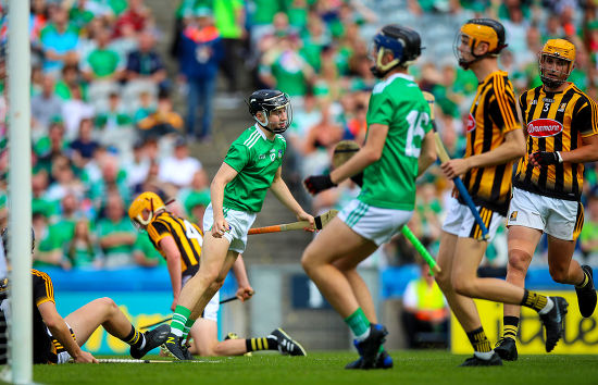 Limerick Vs Kilkenny Limericks Adam English Editorial Stock Photo ...