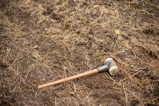Hammer Austrian Pedologist Guenter Aust Seen Editorial Stock Photo ...