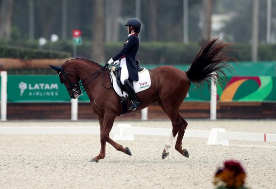 Venezuelan Patricia Ferrando Competes Her Horse Editorial Stock Photo ...