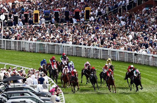 Billesdon Brook Ridden By Sean Levey Editorial Stock Photo - Stock ...