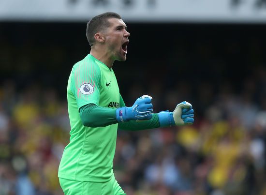 Goalkeeper Matthew Ryan Brighton Celebrates Second Editorial Stock ...