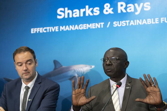 Luke Warwick L Associate Director Sharks Editorial Stock Photo - Stock ...