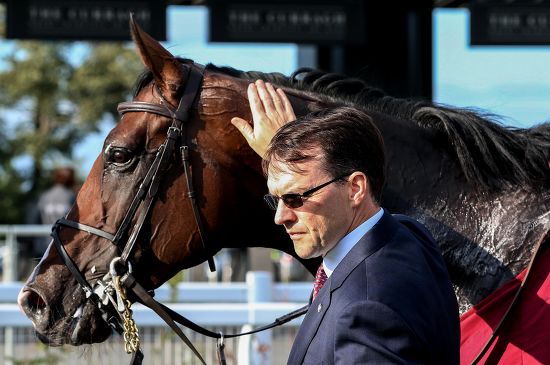 Trainer Aidan Obrien Winning Horse Southern Editorial Stock Photo ...