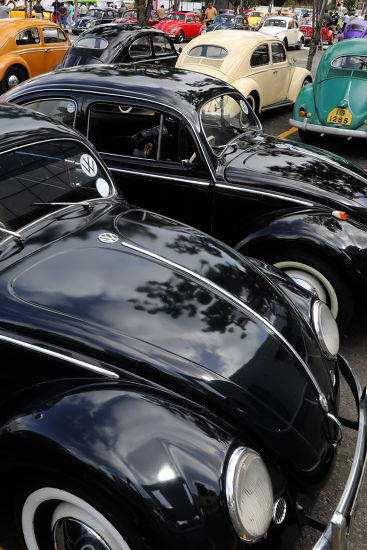 Different Versions Classic Volkswagen Bettle Cars Editorial Stock Photo ...