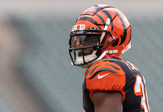 Cincinnati Bengals Running Back Quinton Flowers Editorial Stock Photo ...