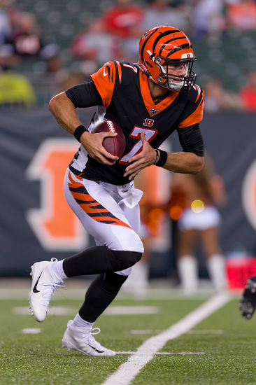 Cincinnati Bengals Quarterback Jake Dolegala 7 Editorial Stock Photo ...