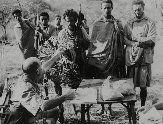 Wwii East African Campaignrevolt Leaders Abyssinia Editorial Stock ...