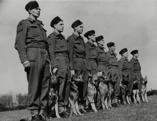 Wwii Raf Regiment First Three Teams Editorial Stock Photo - Stock Image ...