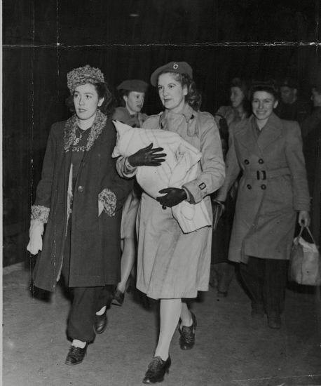 Wwii War Britain Weddings Canada War Editorial Stock Photo - Stock ...