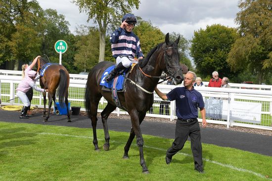 Winner Shadwell Racing Excellence Apprentice Handicap Editorial Stock ...