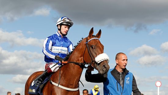 Fox Tal Oisin Murphy Winner William Editorial Stock Photo - Stock Image ...